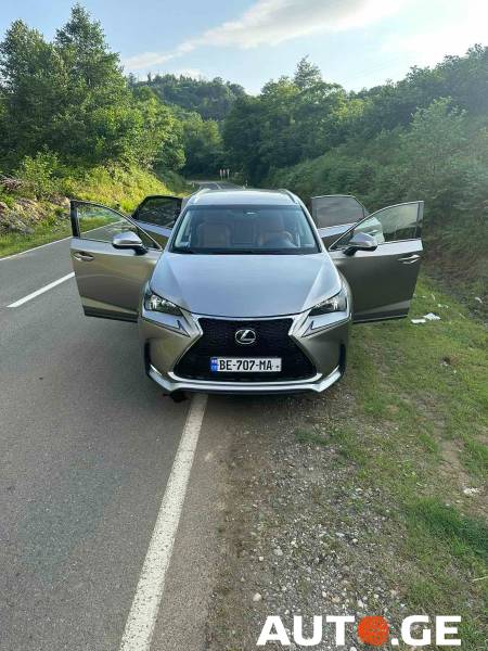 Sale Lexus Lexus, NX, NX 200 2.0 2016 Before Customs